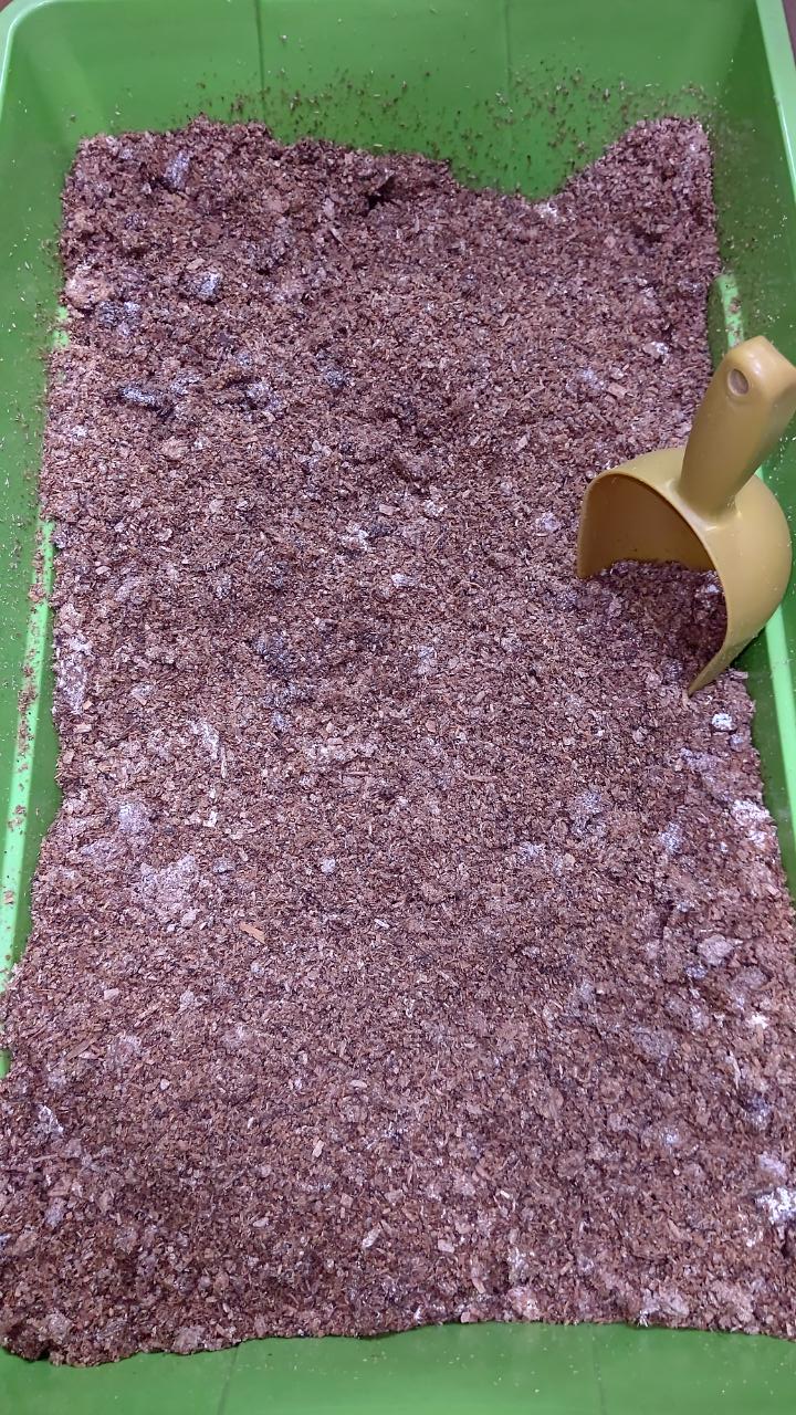 菌糸を詰める - DORCUS Communications