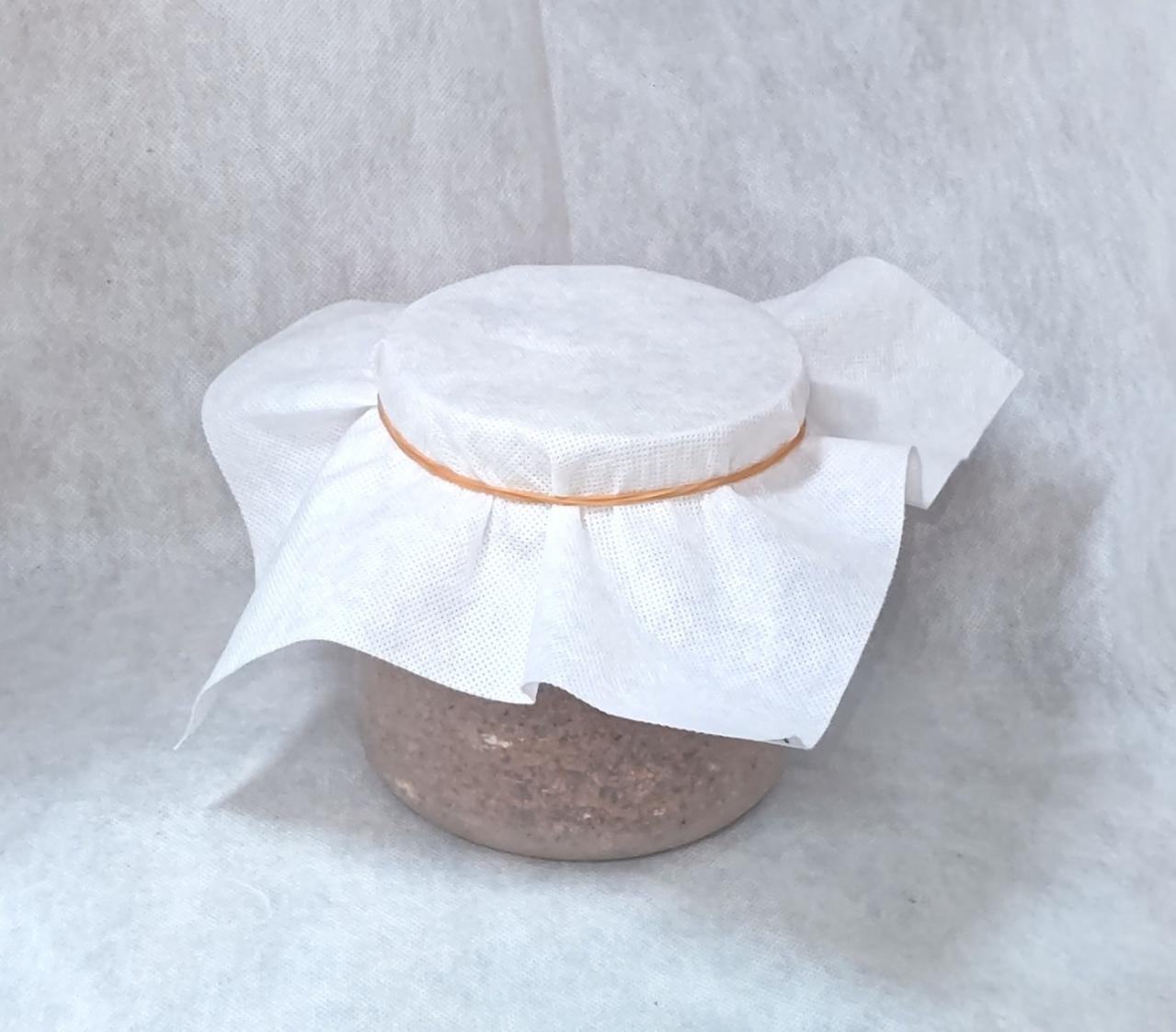 キノコを生えにくくするには - DORCUS Communications.