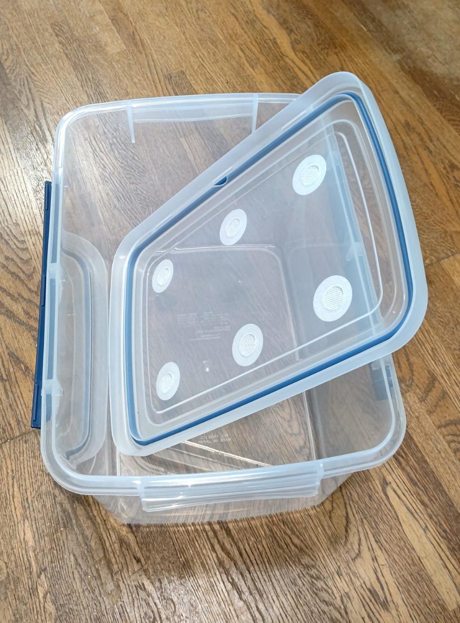 外国産カブトムシの産卵セットを作る - DORCUS Communications