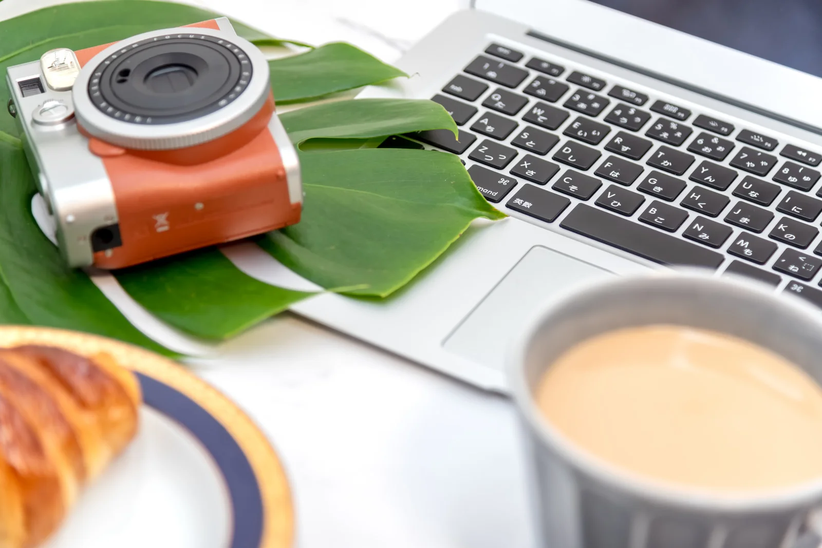 BLOG＆INFO - DORCUS Communications