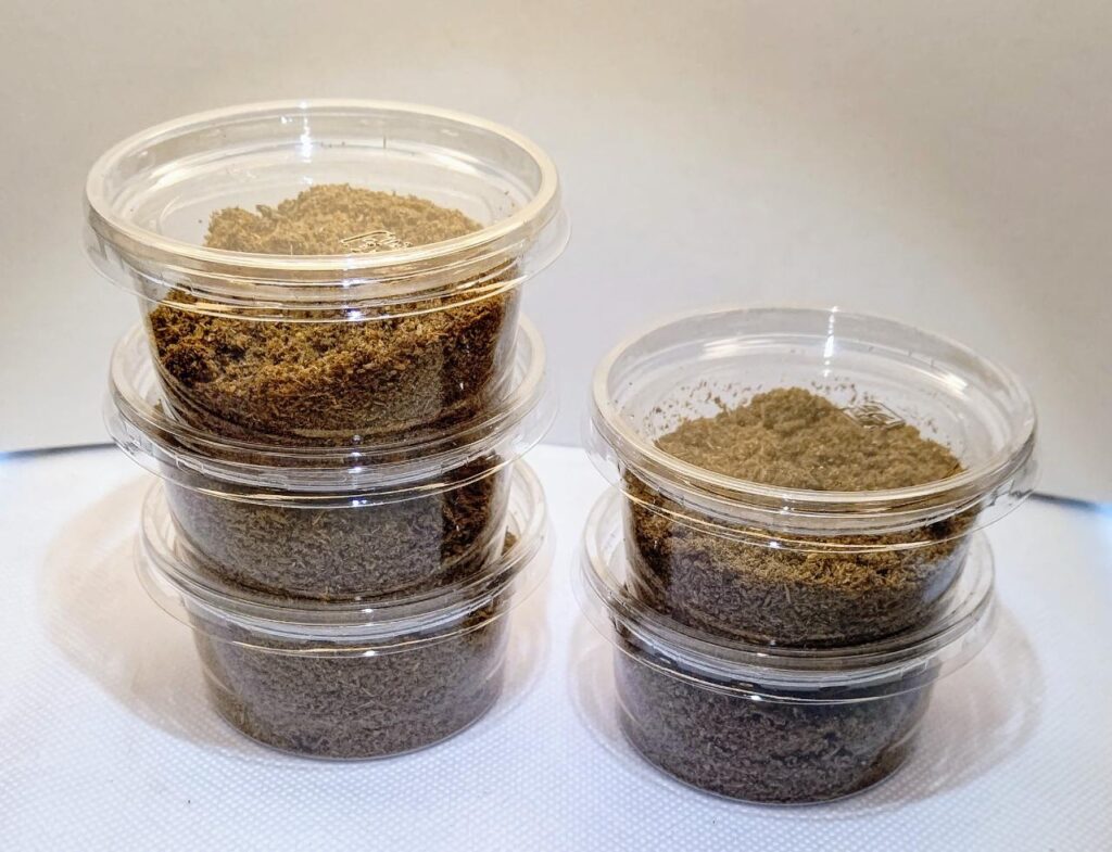 BLOG＆INFO - DORCUS Communications