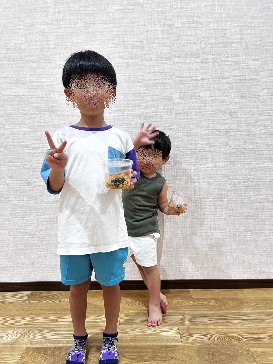 生体のおすそわけ - DORCUS Communications.