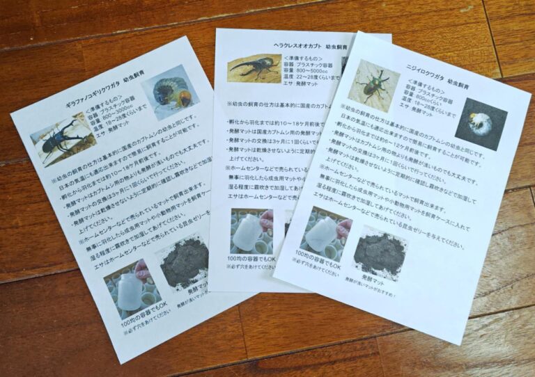 BLOG＆INFO - DORCUS Communications.