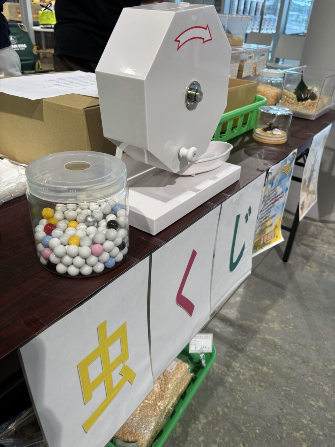 イベント・出店 - DORCUS Communications.