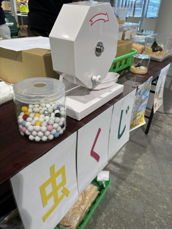 イベント・出店 - DORCUS Communications.